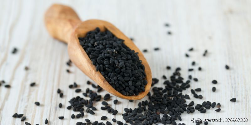 Cominho preto tem ação antioxidante! Conheça melhor o tempero e seus ...