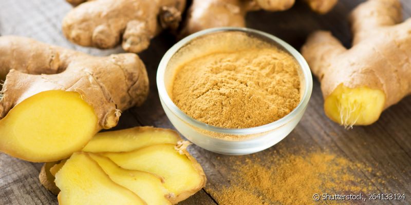 Gingerol: para que serve? Saiba mais sobre esse anti-inflamatório ...